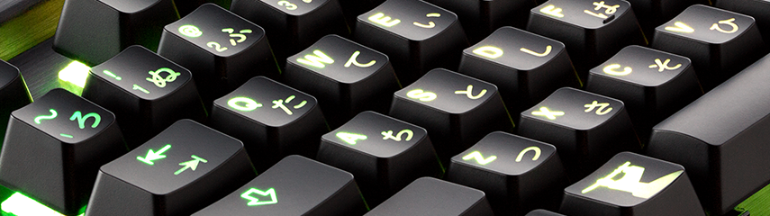 CableMod Premium ABS Laser Keycaps - CableMod US Store